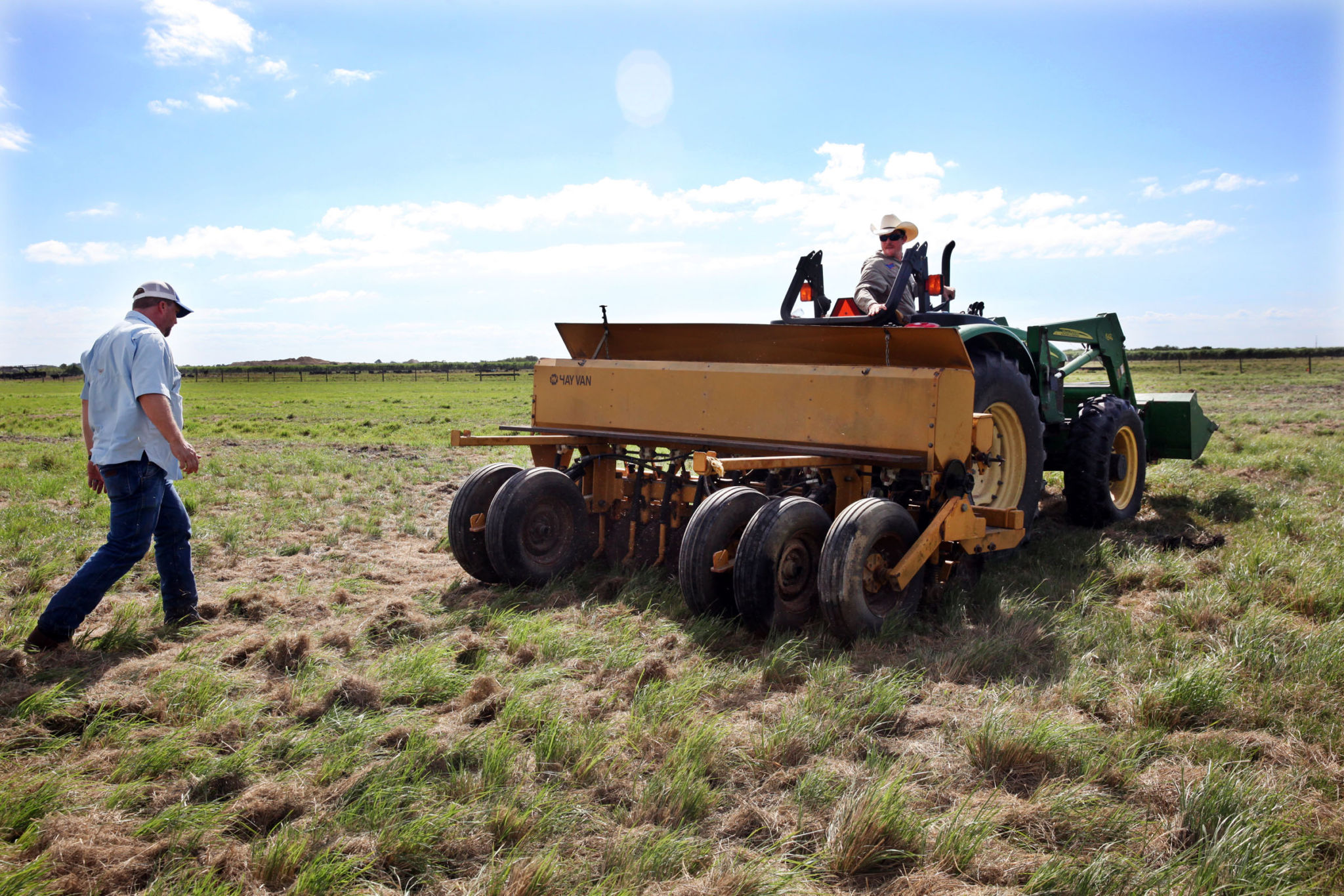 Cool weather grass grows in Brighton field trial • The Seminole Tribune