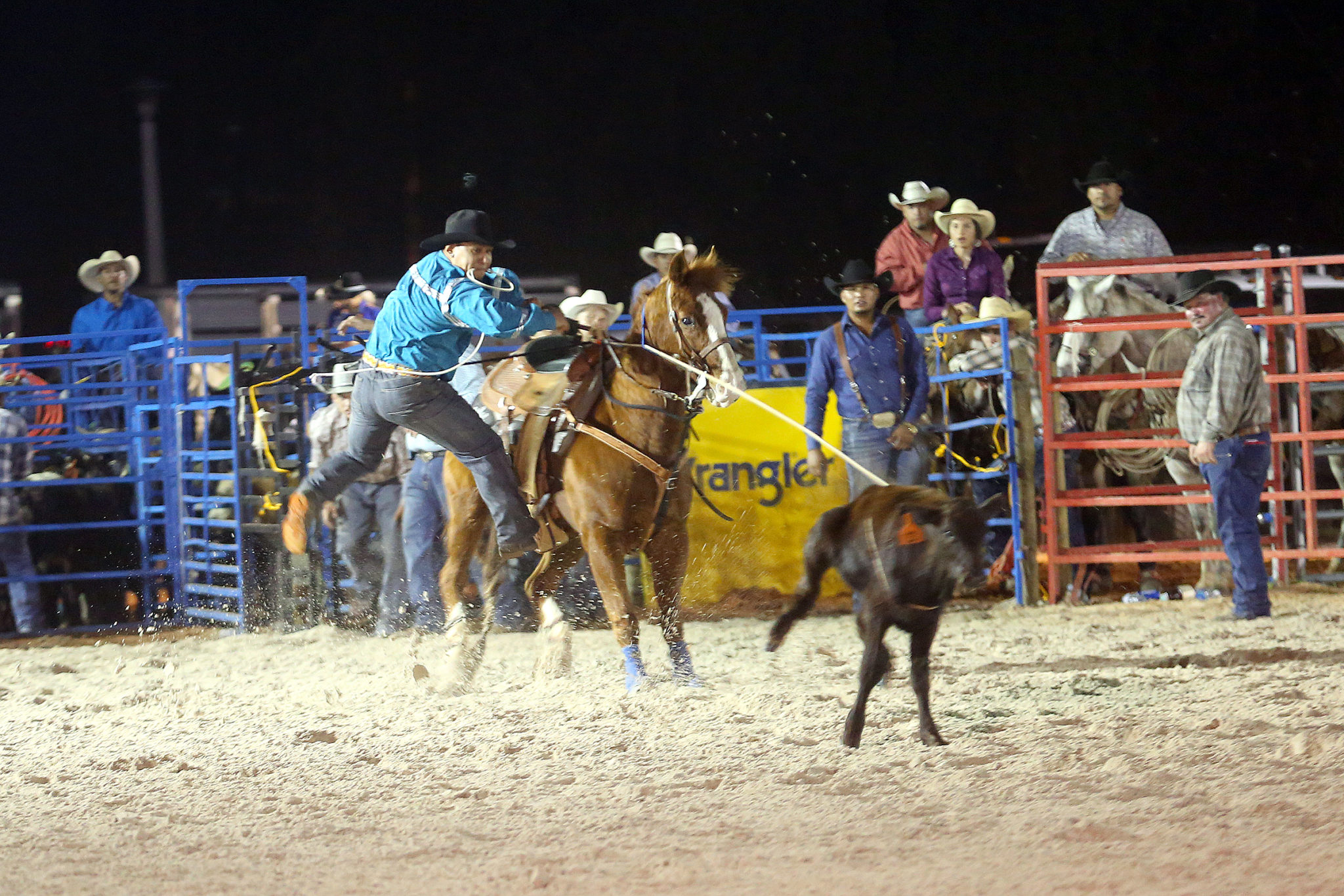 Rodeo returns to Hollywood • The Seminole Tribune