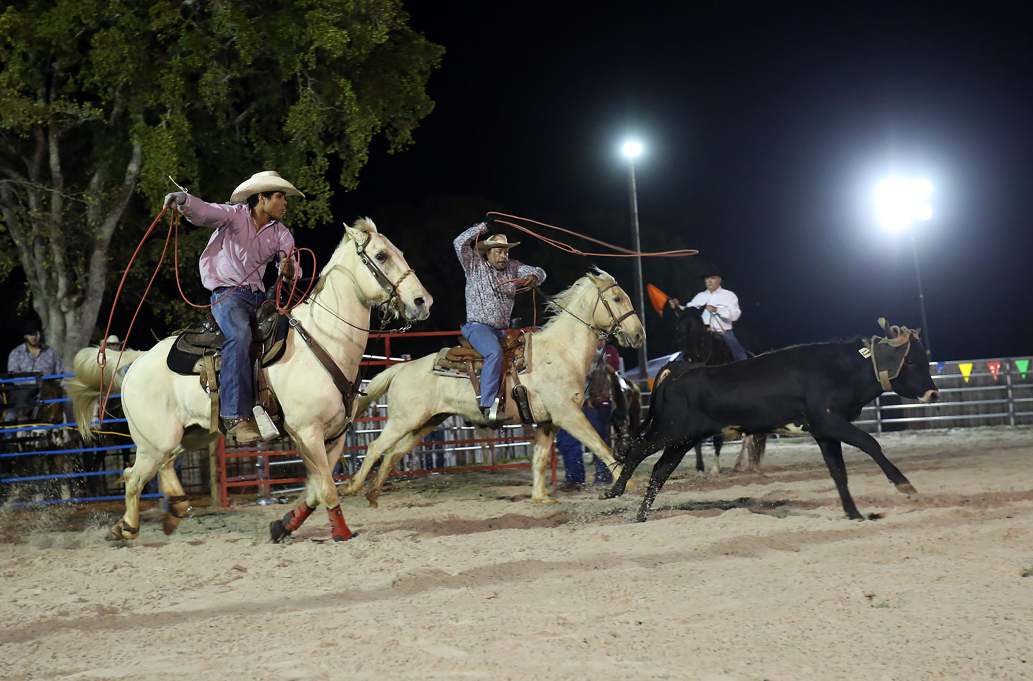 Rodeo returns to Hollywood • The Seminole Tribune