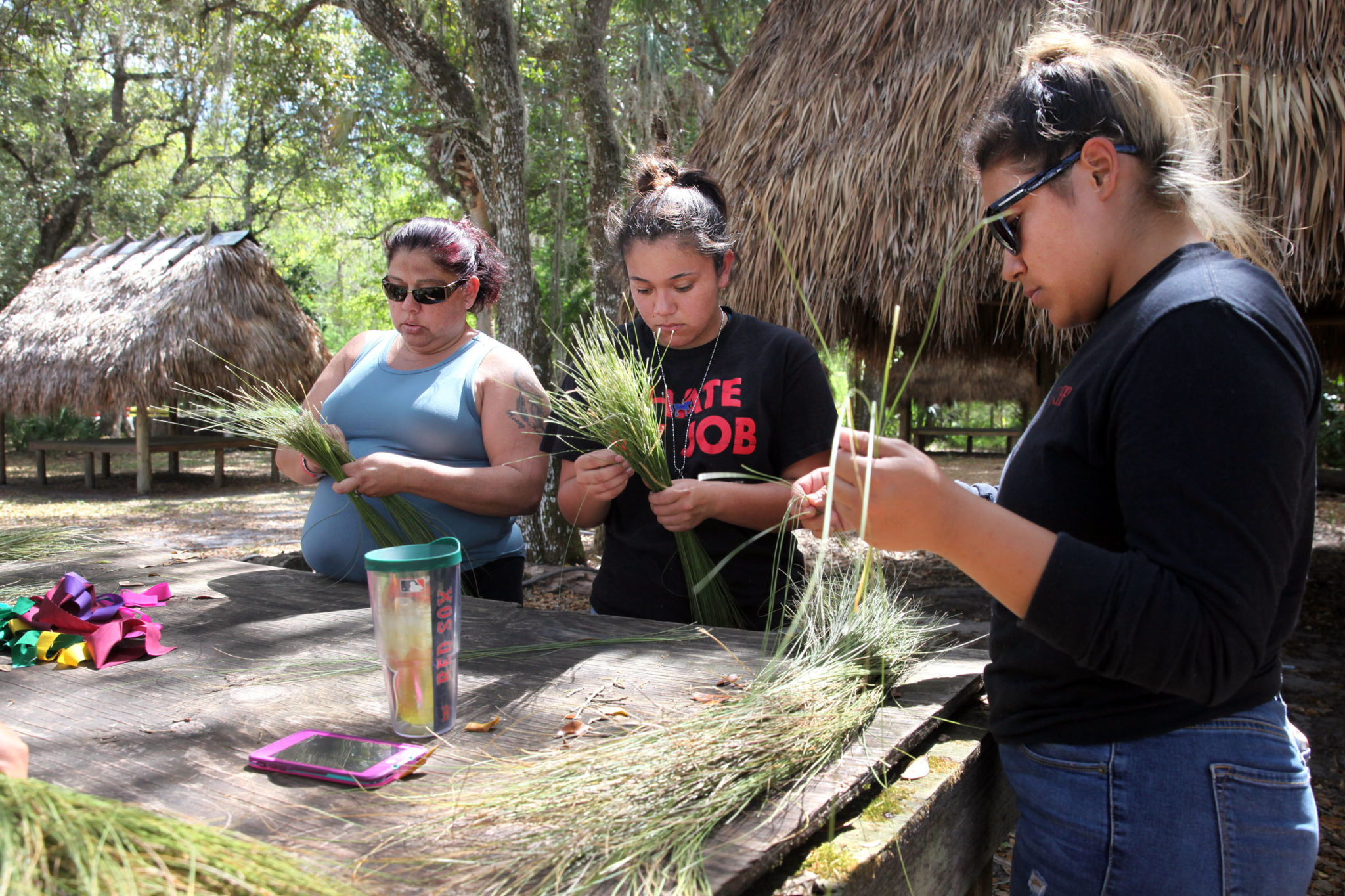 Picking sweetgrass brings back sweet memories • The Seminole Tribune