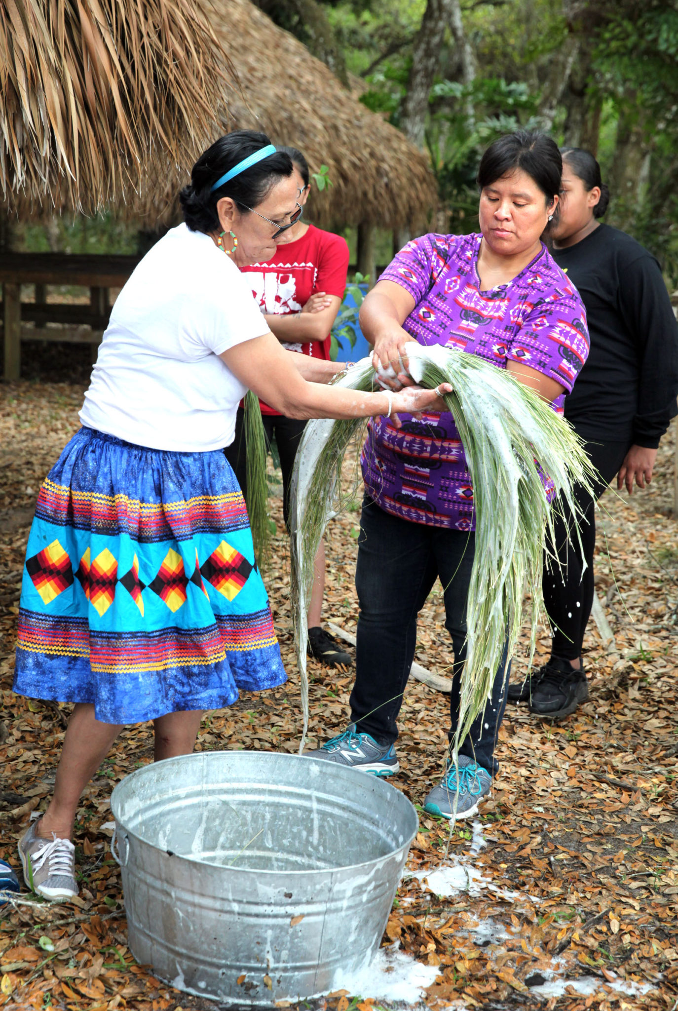 Picking sweetgrass brings back sweet memories • The Seminole Tribune