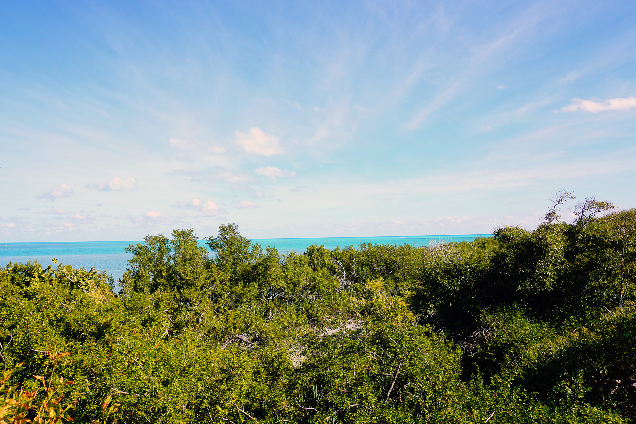 Indian Key holds intriguing Seminole connection, history • The Seminole ...