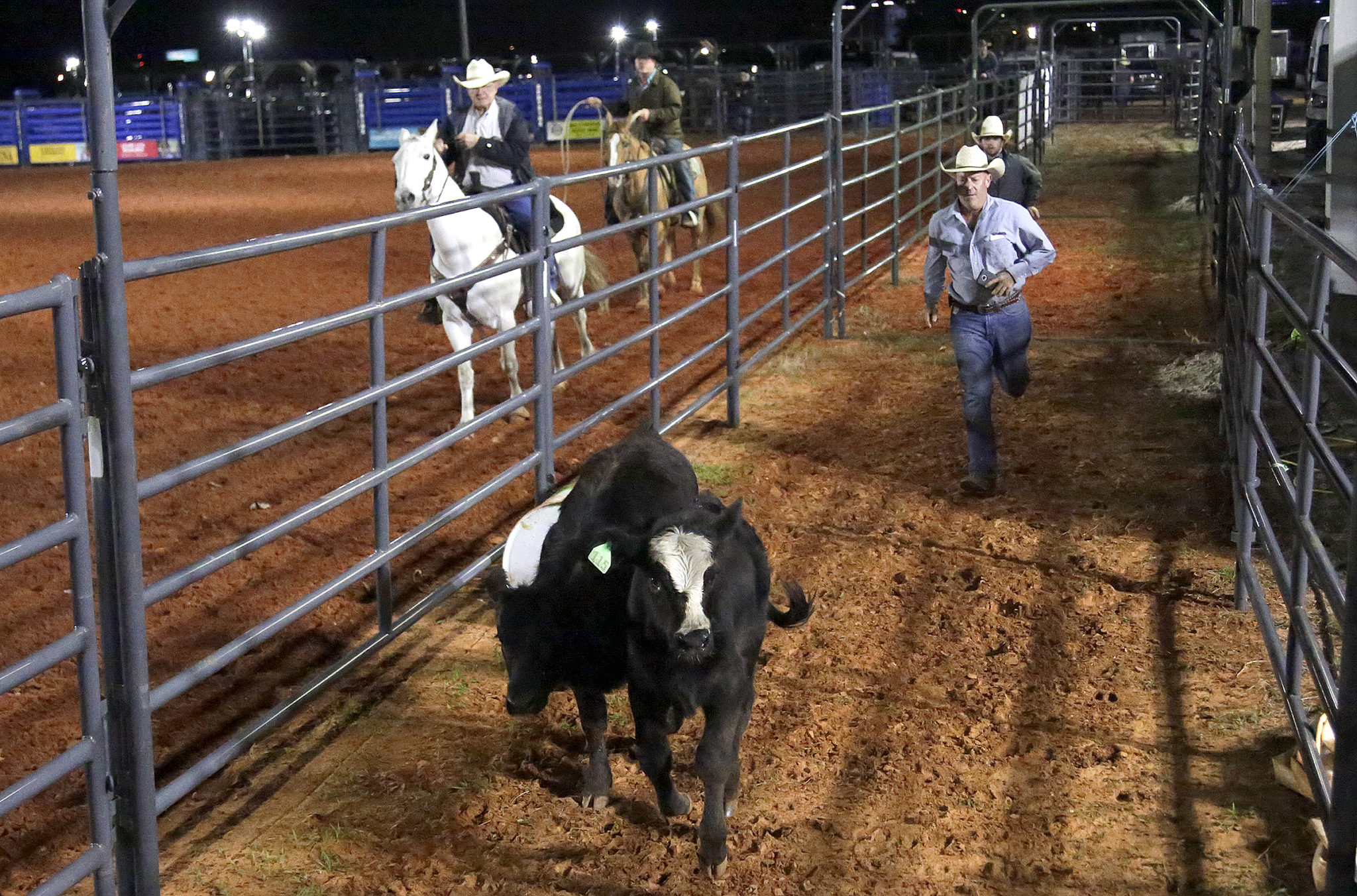Betty Mae Jumper, Bill Osceola rodeos light up Hollywood Reservation ...