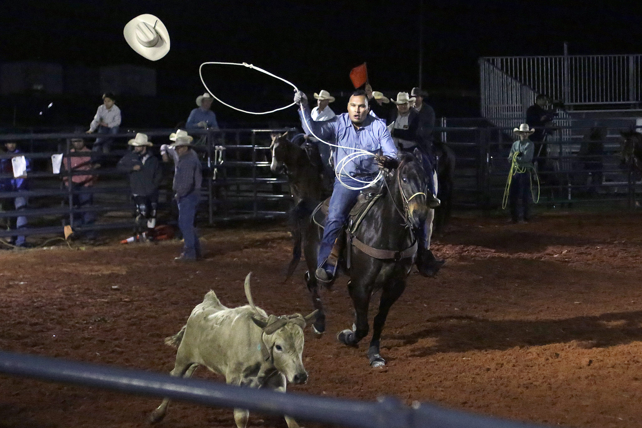 Betty Mae Jumper, Bill Osceola rodeos light up Hollywood Reservation ...