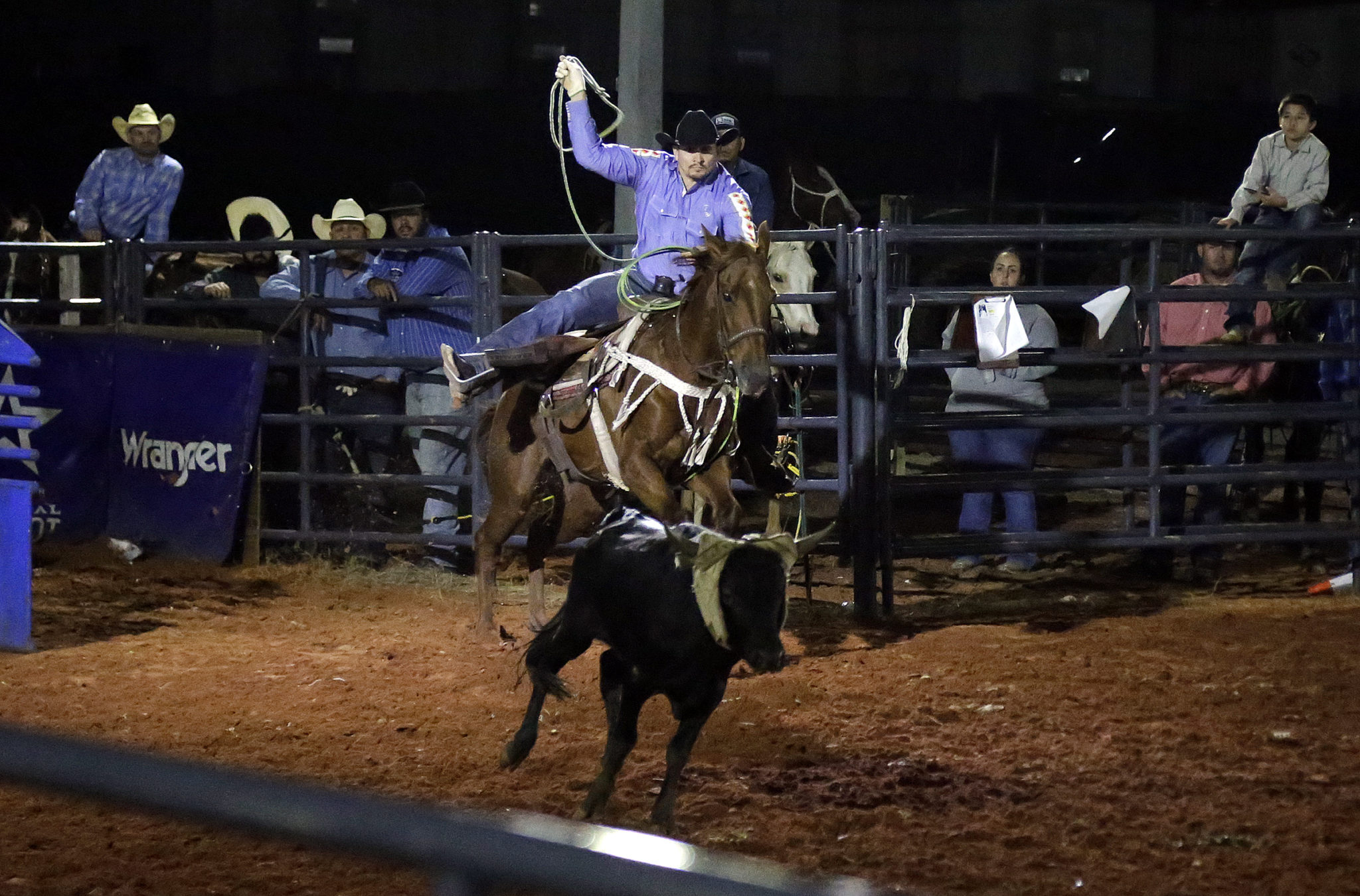 Betty Mae Jumper, Bill Osceola rodeos light up Hollywood Reservation ...