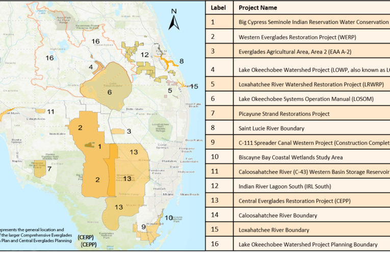 Home • The Seminole Tribune