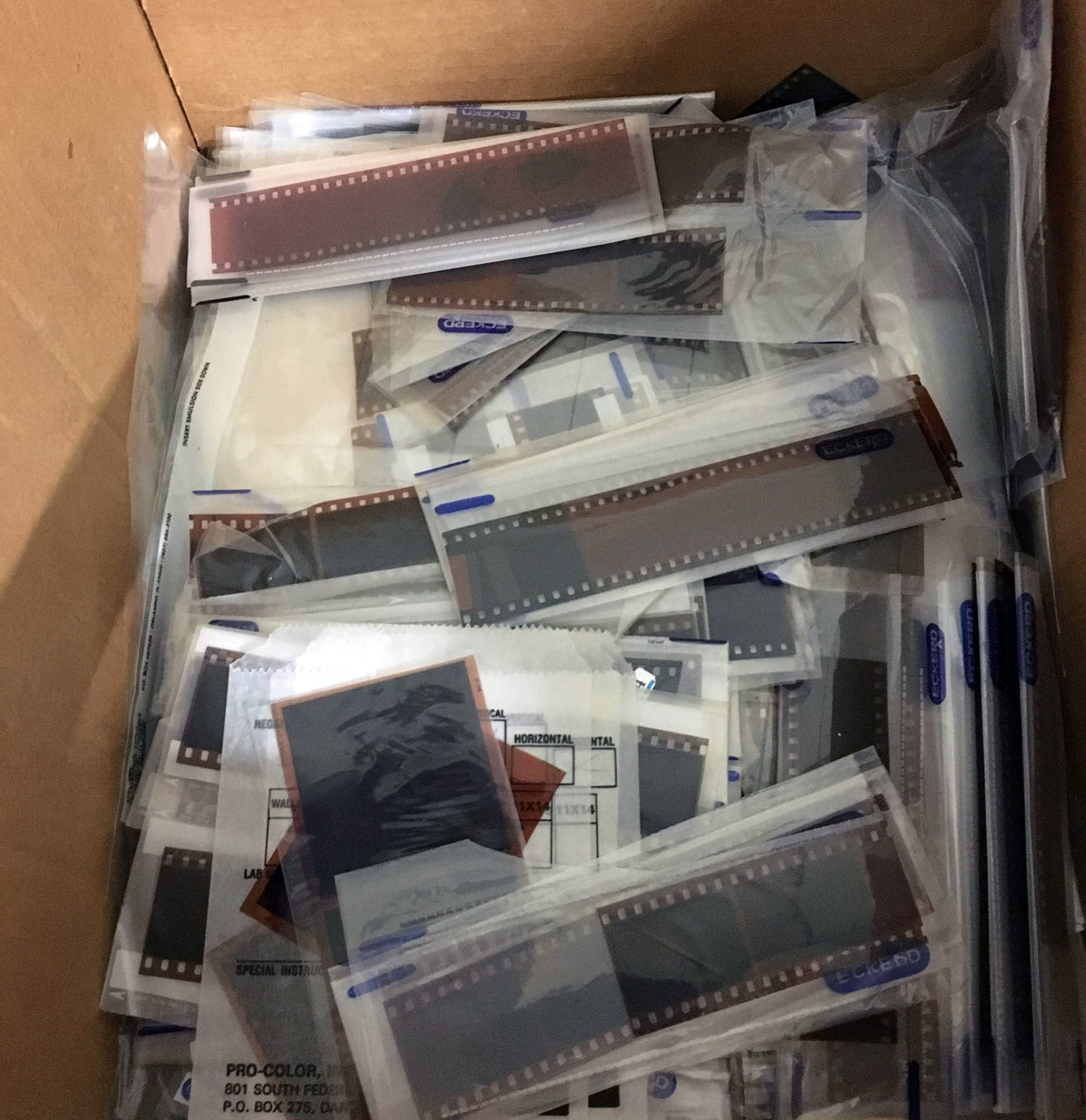 Making negatives positive; a new photograph project begins at the ...