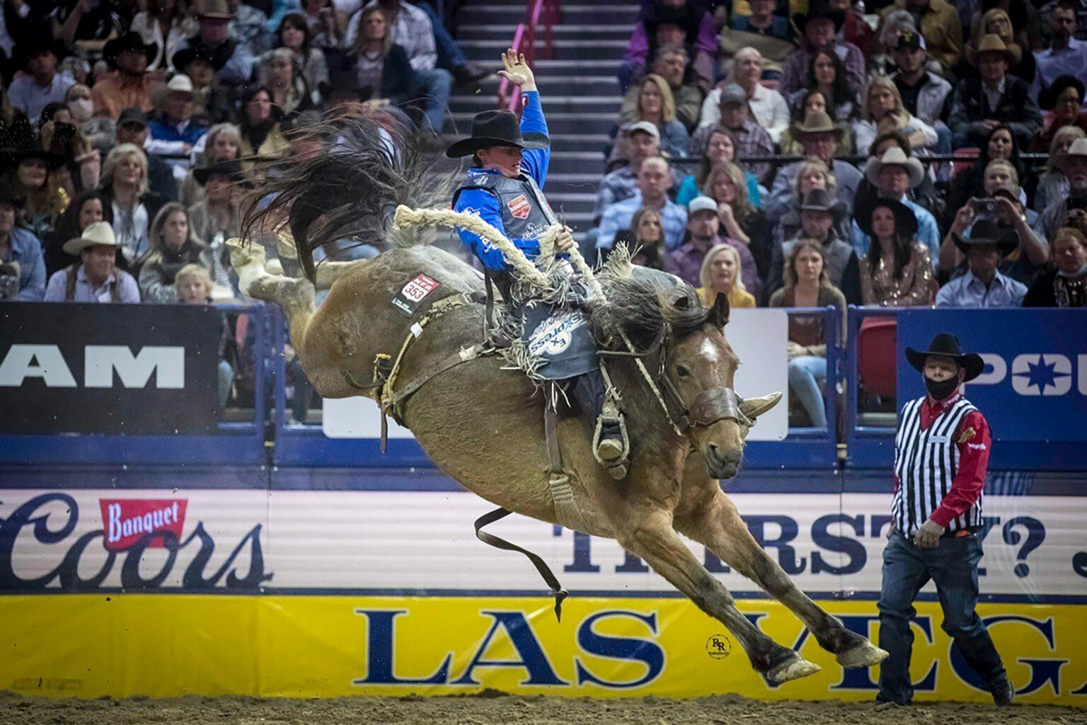 Brighton's bucking rodeo star: 5 Star's Archie shines at NFR • The ...