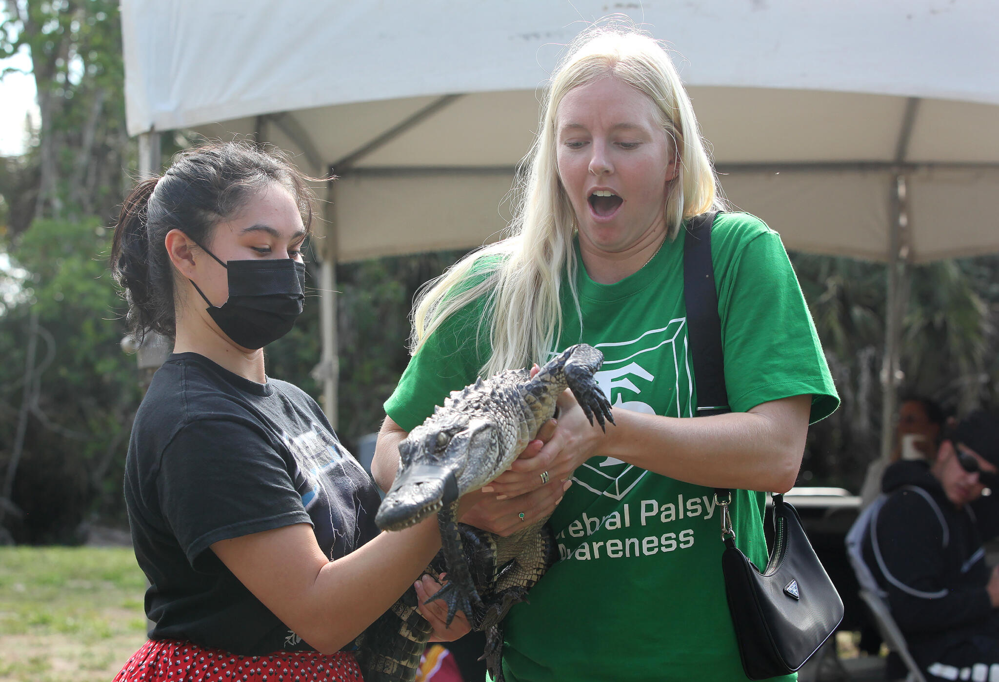 FSU softball team learns about Seminole culture in Big Cypress • The ...