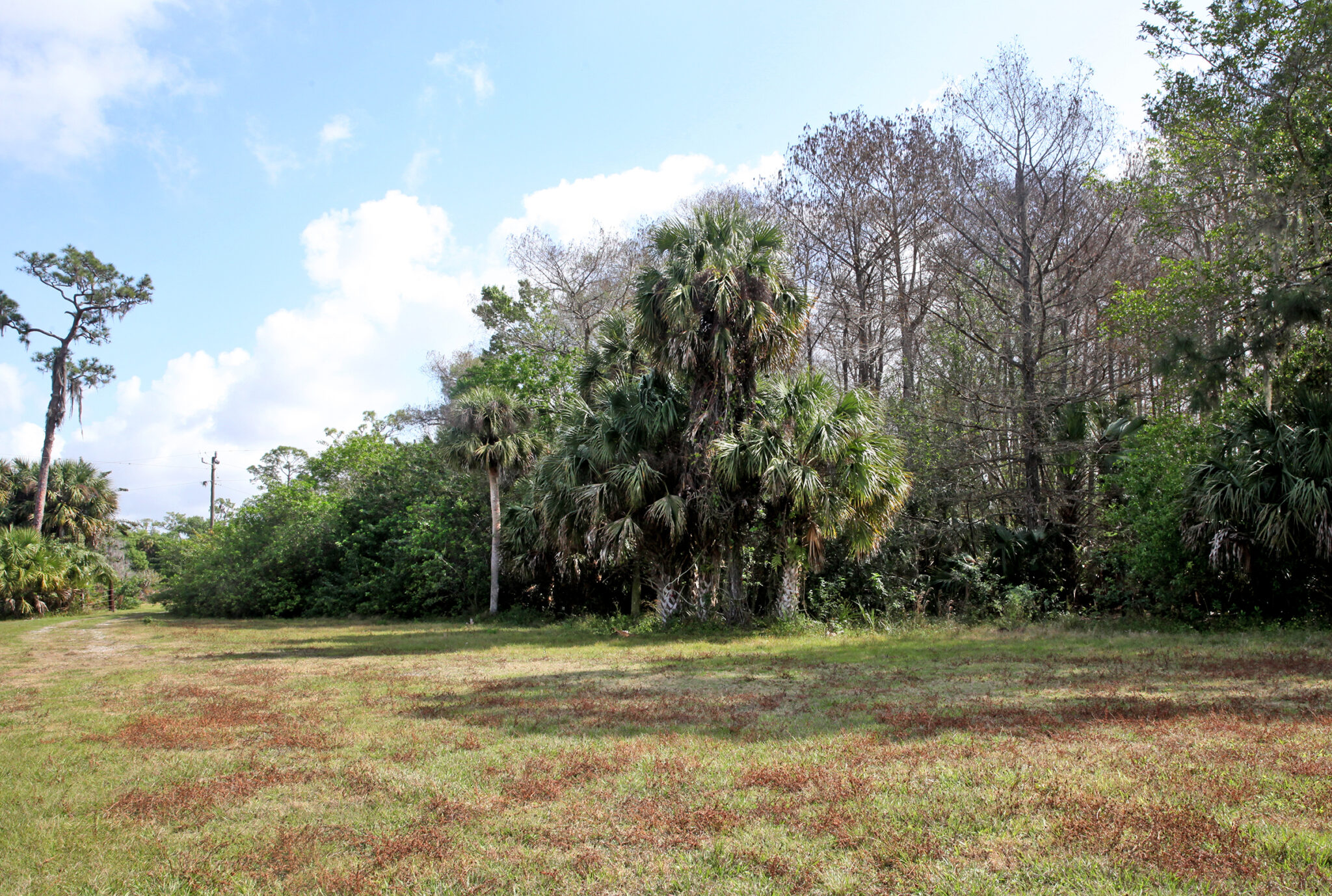 Fond memories for Seminoles who called Indian Camp home • The Seminole ...