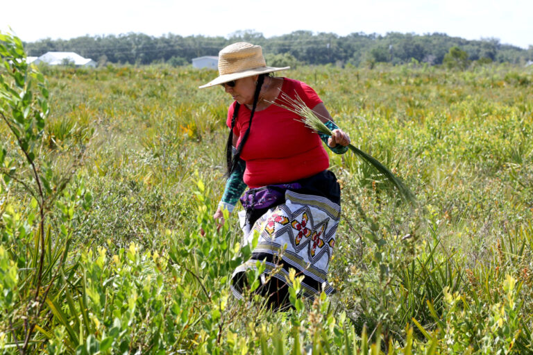 Donna Frank makes sure tribe’s sweetgrass culture won't fade away • The ...