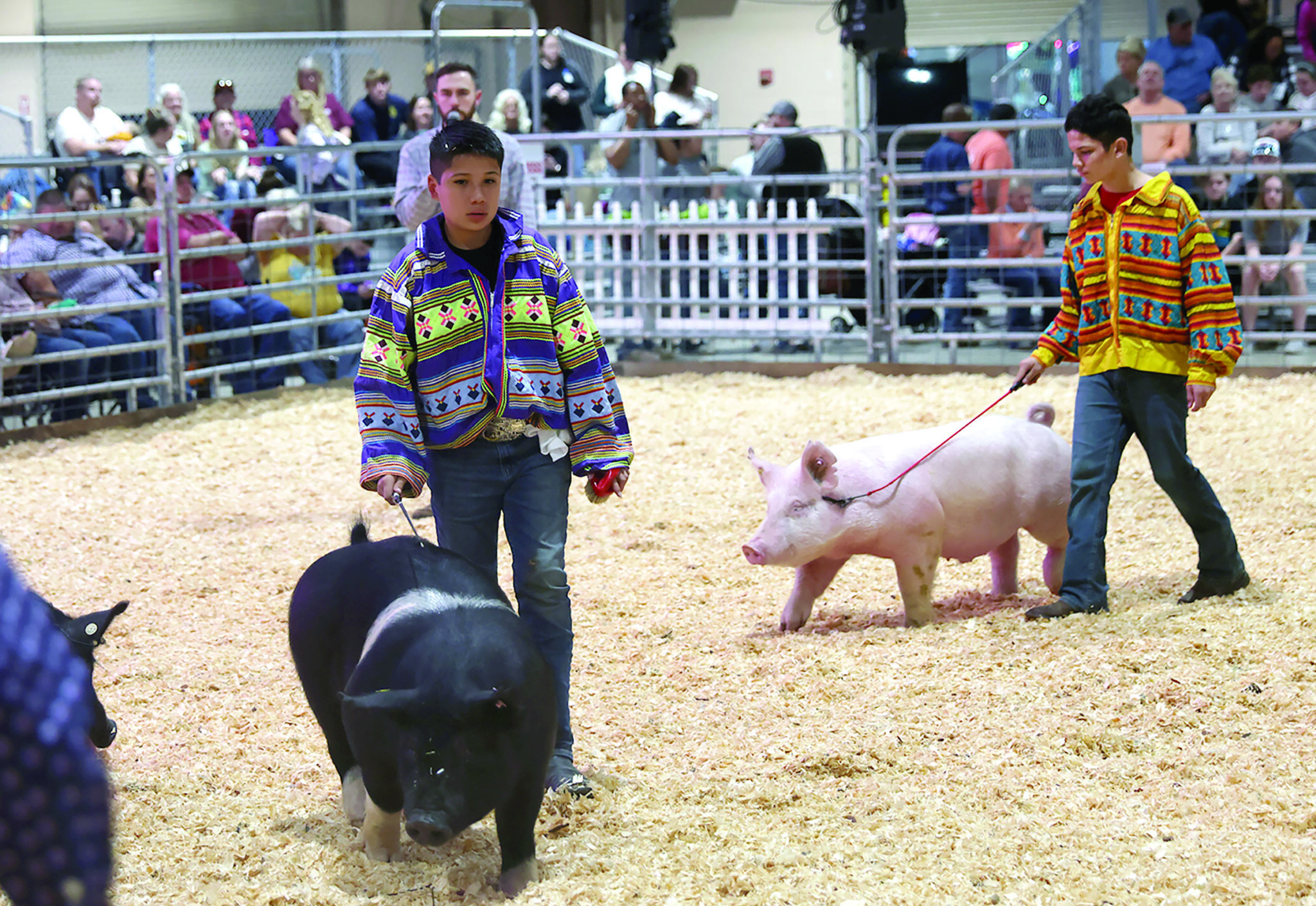 Seminole 4-H kids show their work at South Florida Fair • The Seminole ...